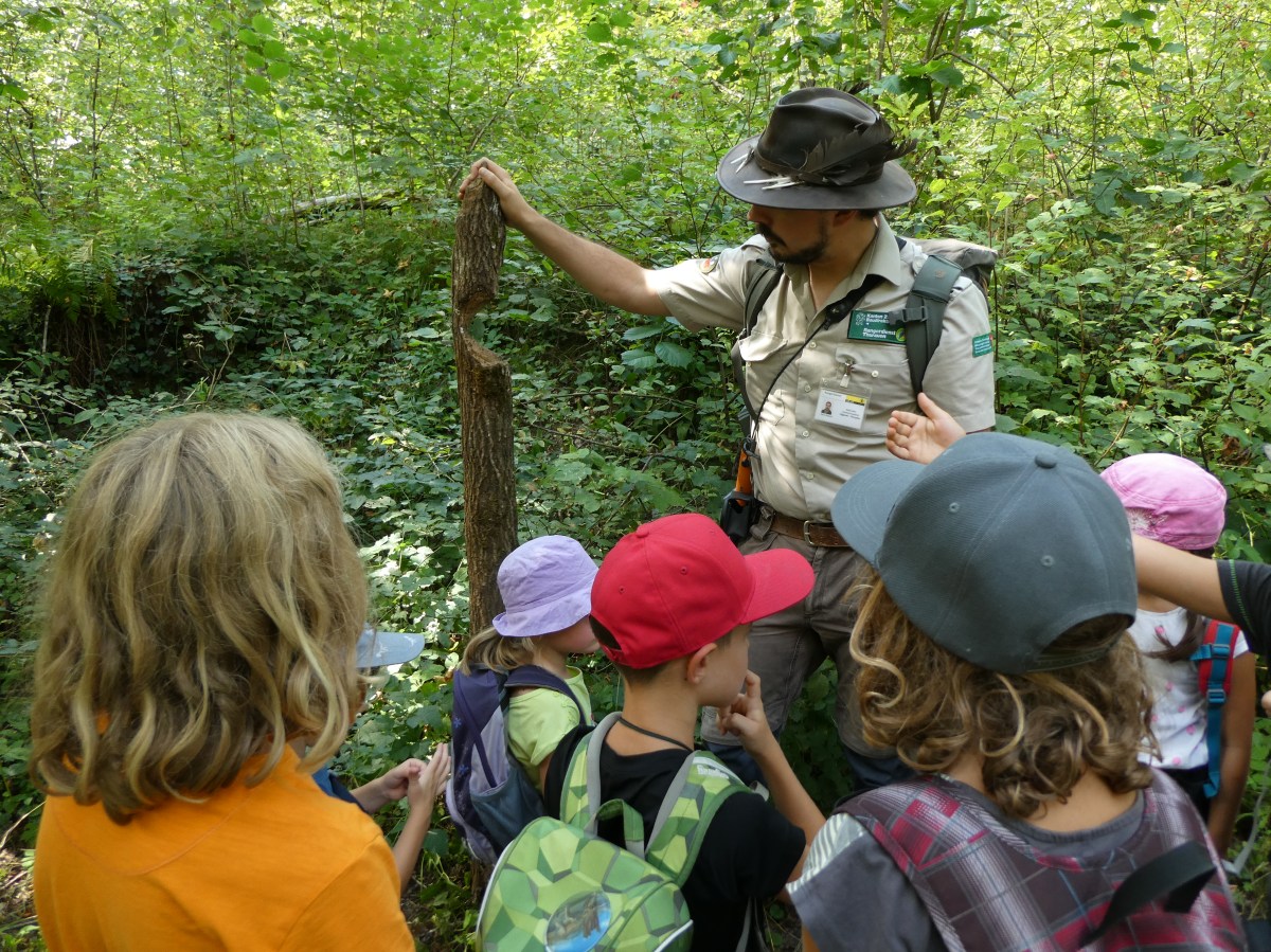 Thurauen Junior Ranger Schnuppernachmittag | Junior Ranger Schweiz ...